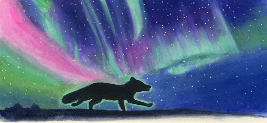 Arctic fox and the Northern Lights by Craig Orback