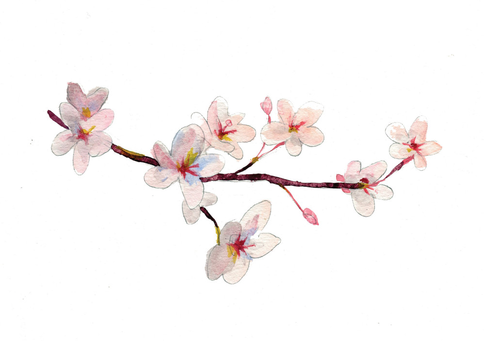 Blossoms Vignette By Jennifer Gibson
